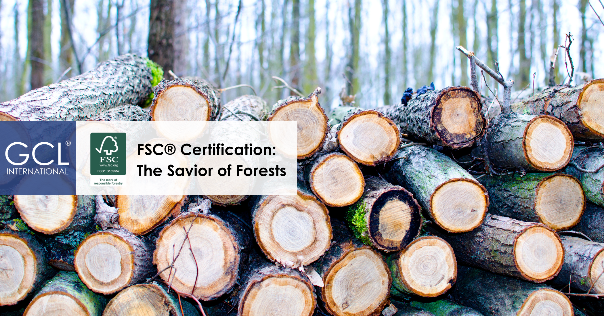 FSC® Certification: The Savior of Forests - Worldwide Certification ...